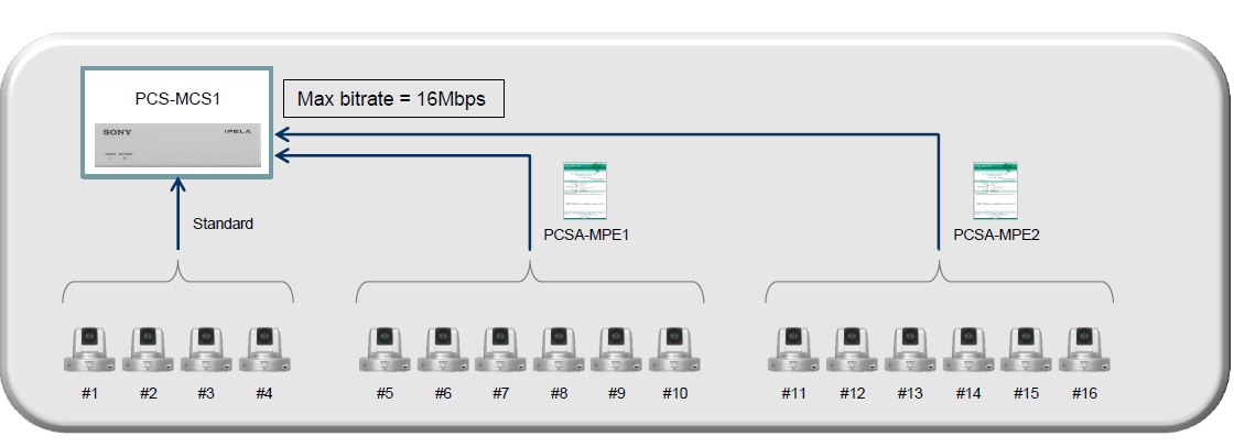 Sony MCS1 Multipunkt MCU Gruppenmeeting mehrere Standorte